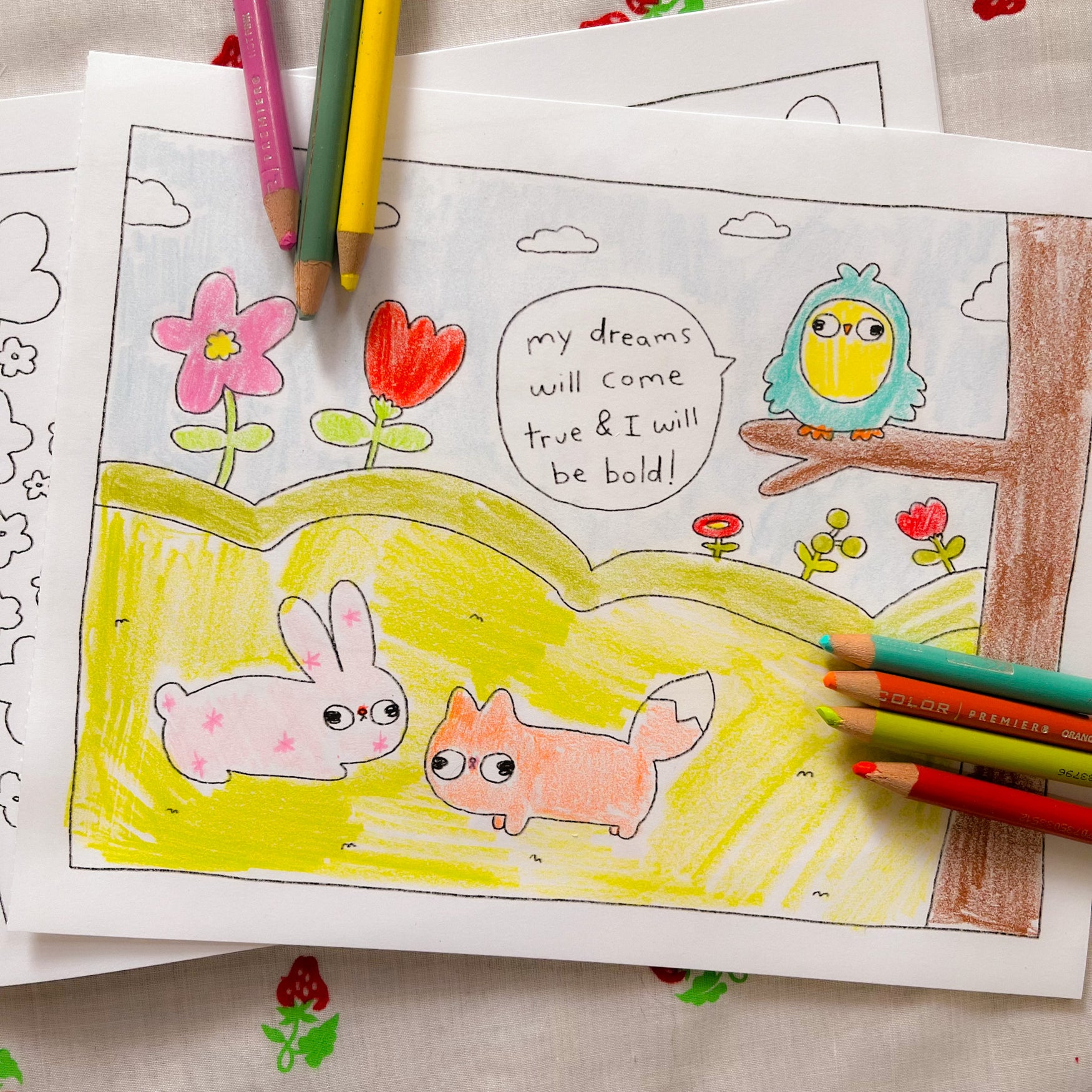 Clunky Picnic – olivia buchholz